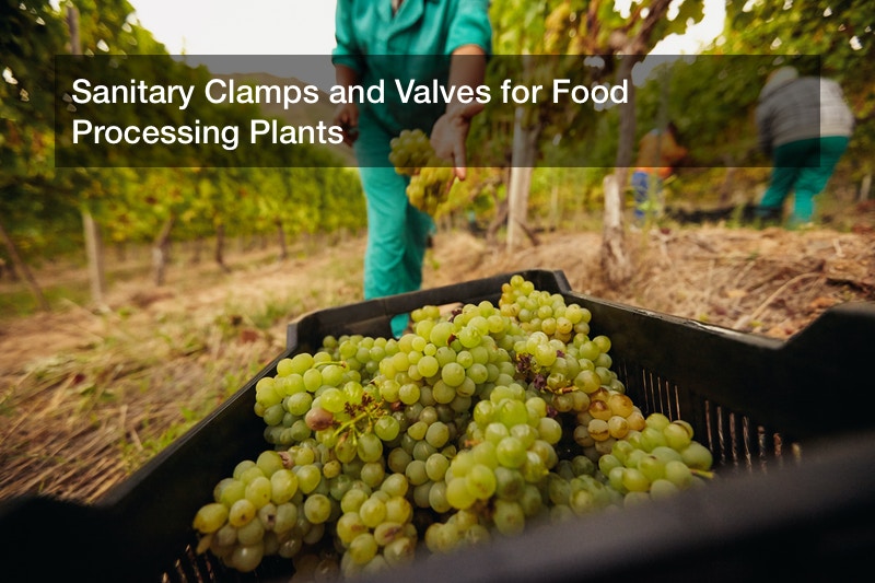 Sanitary Clamps and Valves for Food Processing Plants - The Employer Store